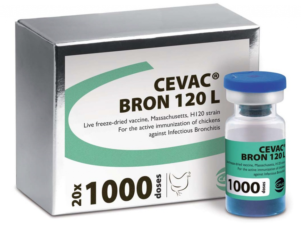 Vaccines Products – Gafiel